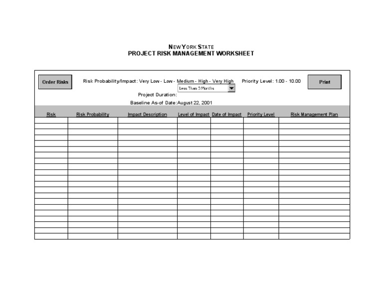 N Y S Project Risk Management Worksheet | PDF