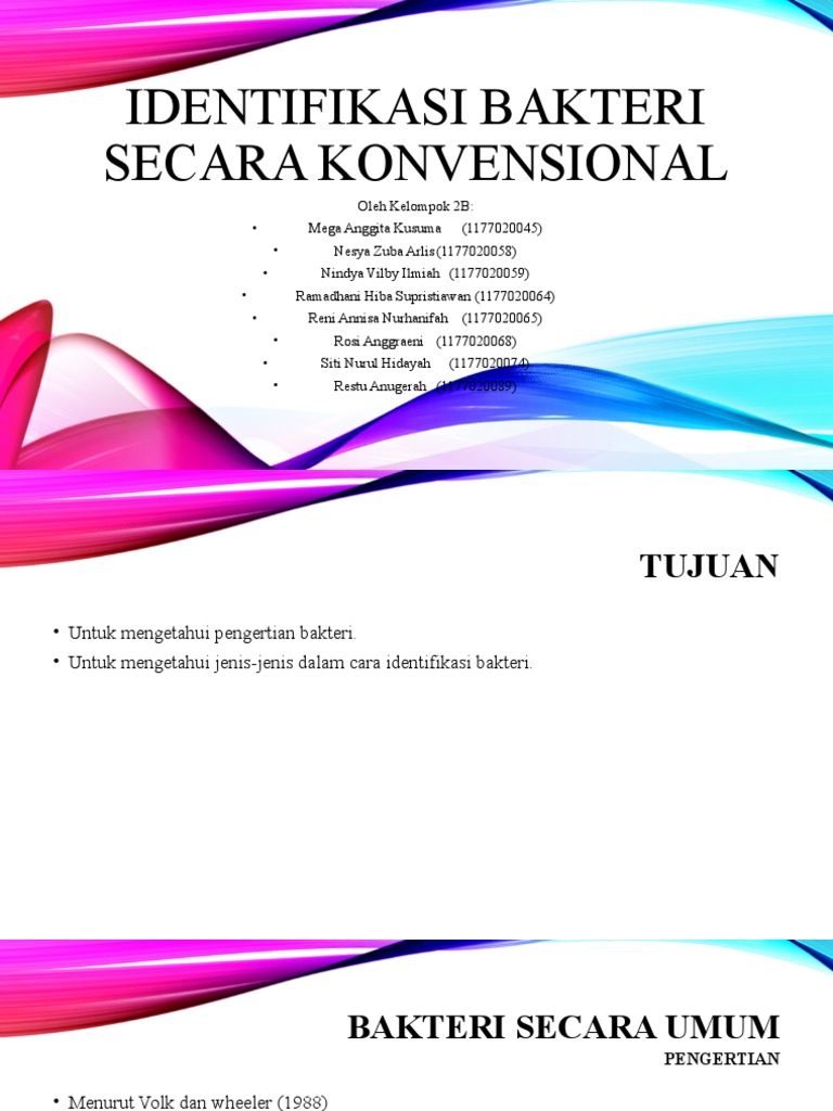 Tugas Mikrobiologi Lanjut - Kelompok 2B - Identifikasi Bakteri Secara ...