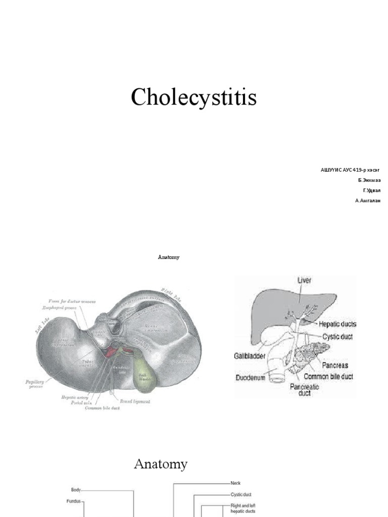Cholecystitis | PDF | Bile | Gallbladder