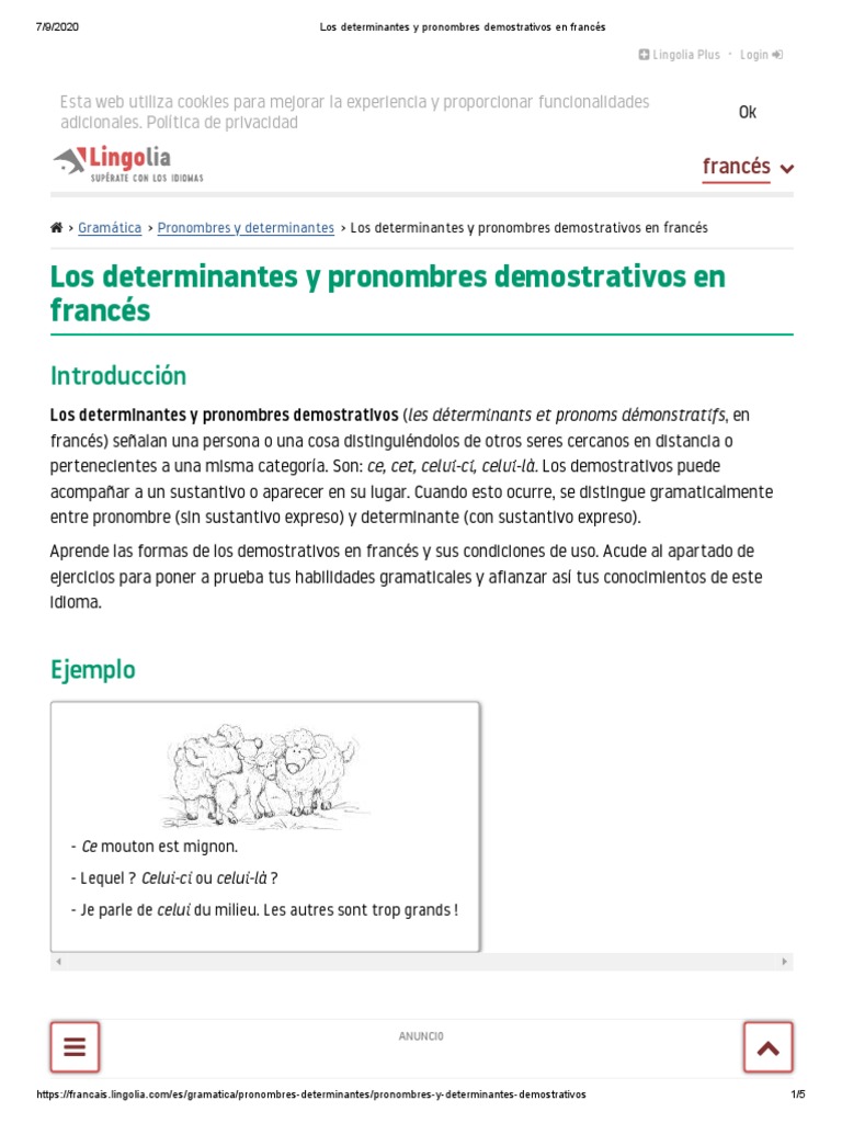 Pronombres Demostrativos En Francés Ejemplos – ZSDNWW
