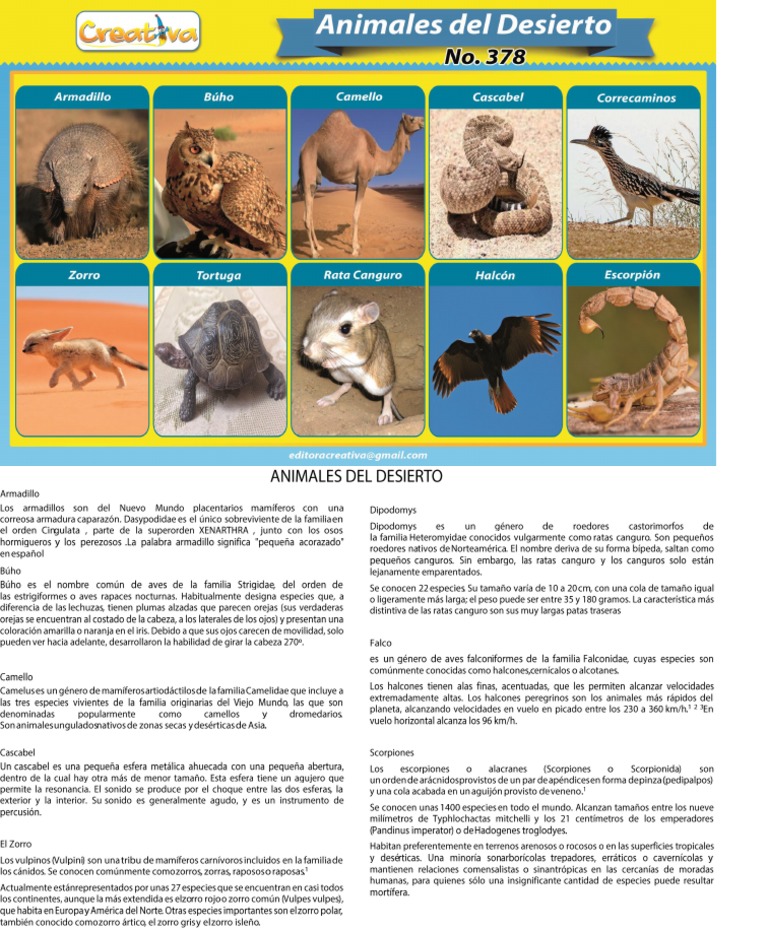 Animales Del Desierto Pdf