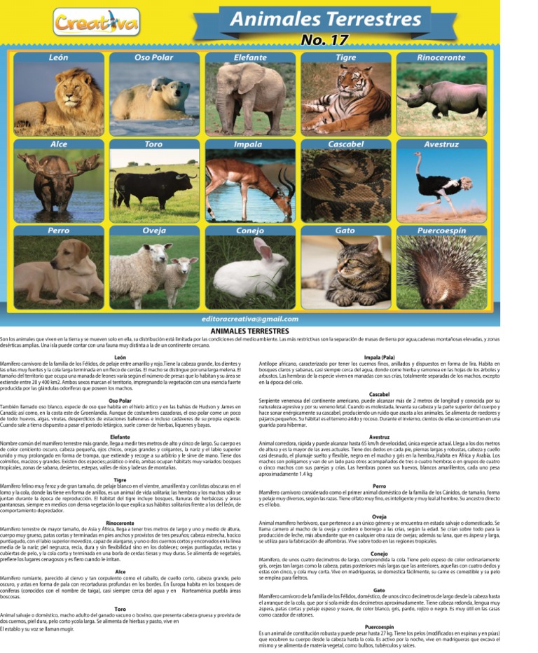 Animales Terrestres PDF | PDF