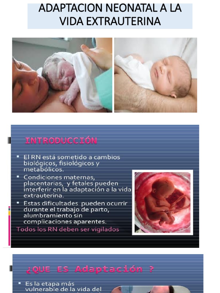 Adaptacion Neonatal A La Vida Extrauterina PDF | PDF