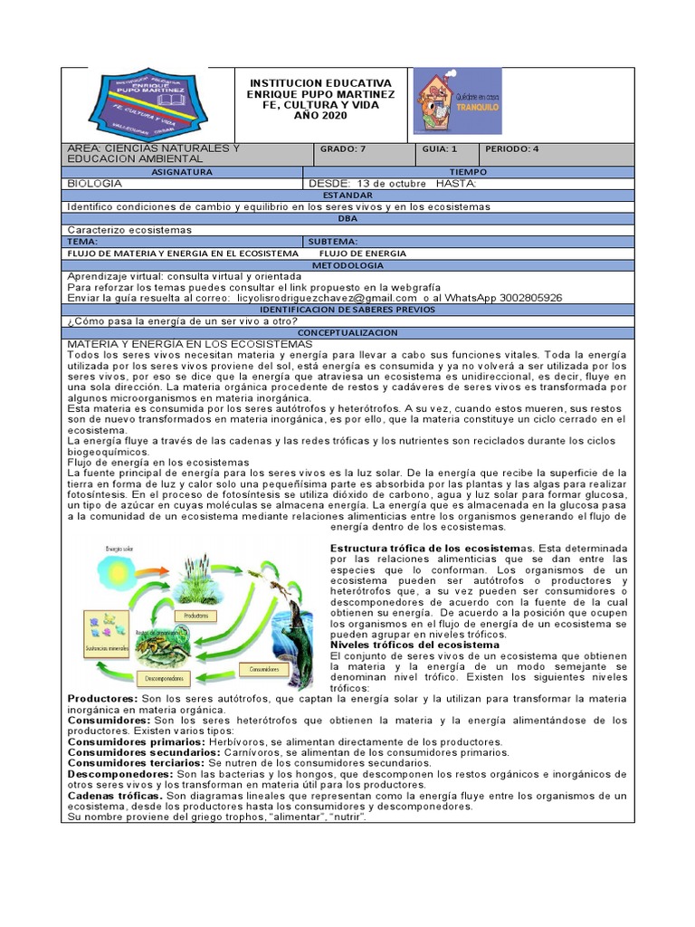 Cadenas y Redes Tróficas en Ecosistemas | PDF | Red alimentaria ...