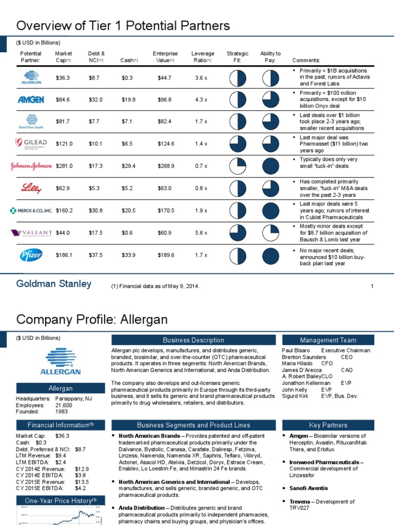 Overview of Tier 1 Potential Partners: Goldman Stanley | PDF | Generic ...