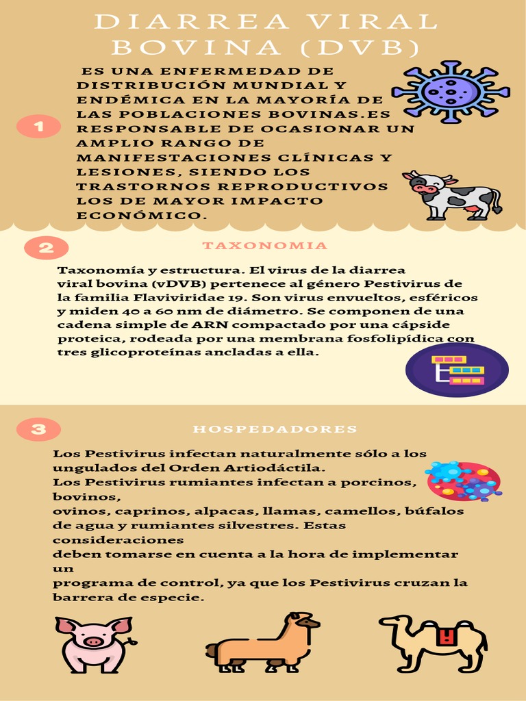 Infografía Virus | PDF | Virus | Microbiología