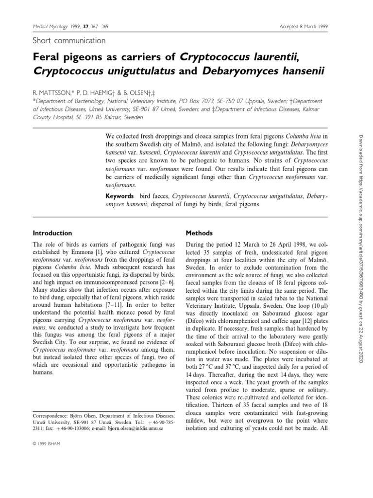 Feral Pigeons As Carriers of Cryptococcus Laurentii, C. Uniguttulatus ...