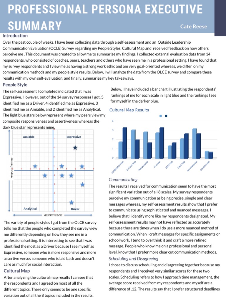 Professional Persona Summary Analysis | PDF | Action (Philosophy ...