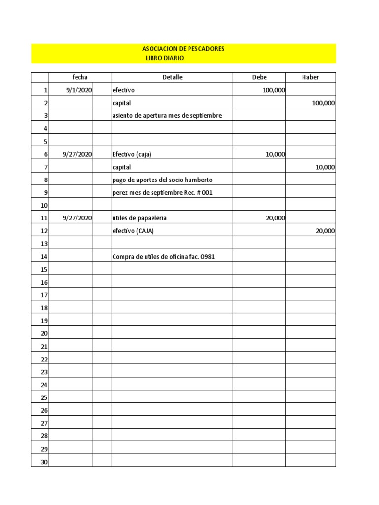Formato Libro Diario | PDF