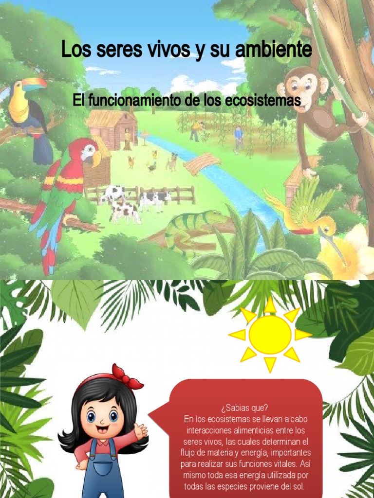 Funcionamiento de Los Ecosistemas | PDF | Red alimentaria | Ecología