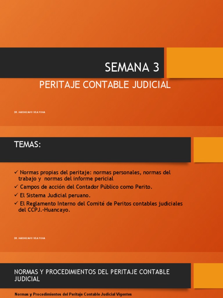 Normas del Peritaje Contable Judicial | PDF | Contador | Testigo experto