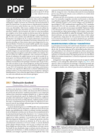 Test de Dubowitz | PDF | Tobillo | Pie