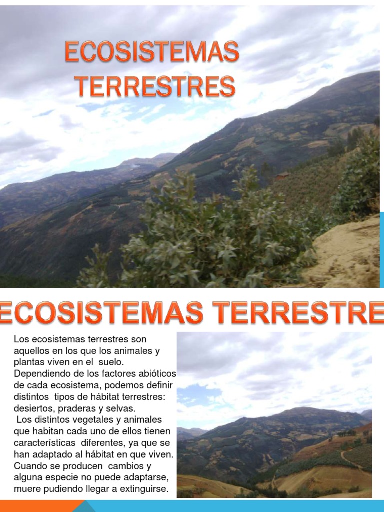 Tipos de Ecosistemas Terrestres | PDF | Ecosistema | Selva