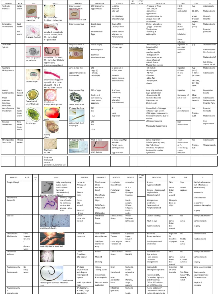Parasitology Tables | PDF | Parasitology | Medical Specialties