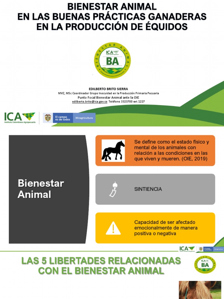 Bienestar Animal en BPG Equidos | PDF | Bienestar de los animales ...