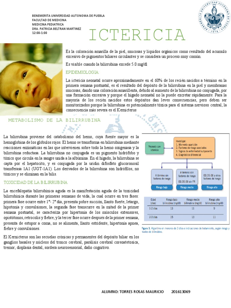 3.ictericia Neonatal | PDF | Especialidades Medicas | Medicina CLINICA