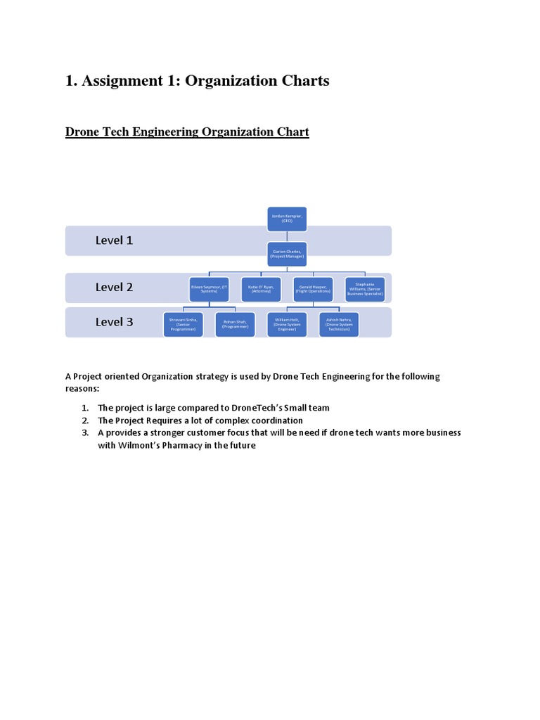 Assignment 1: Organization Charts: Drone Tech Engineering Organization Chart | PDF | Business