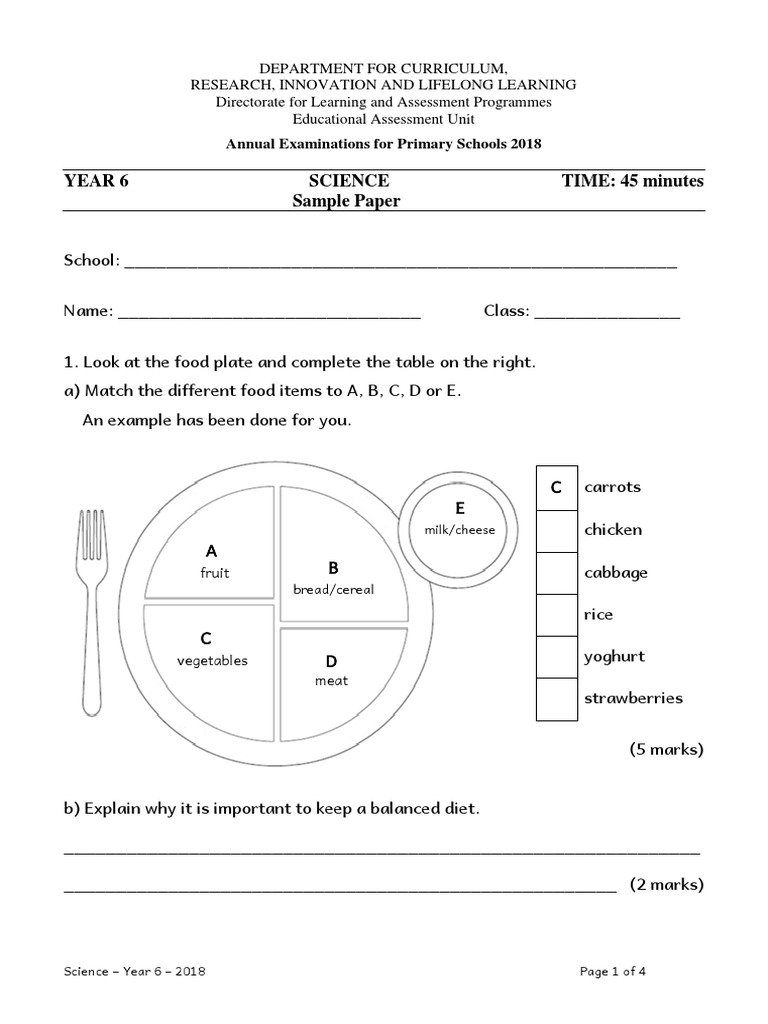 Year 6 Science Sample Exam Paper | PDF | Foods | Nature