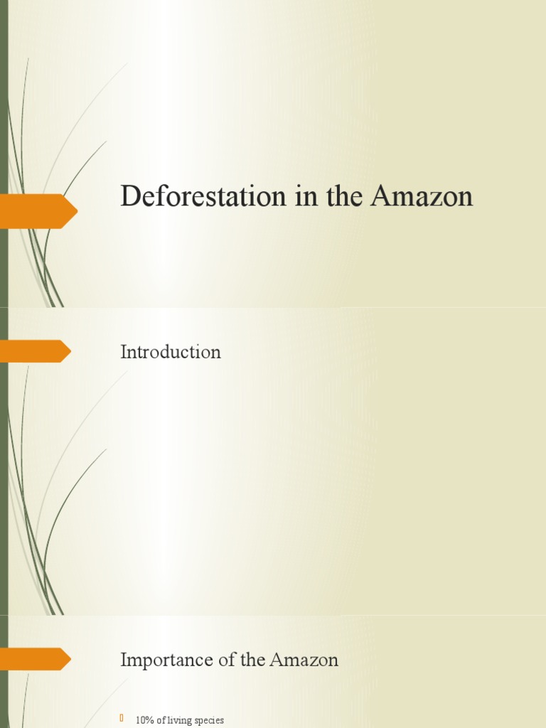 Deforestation in The Amazon | PDF