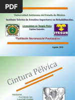 Ejercicios Pendulares de Codman | PDF | Salud y bienestar