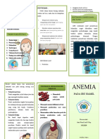 Leaflet Anemia | PDF