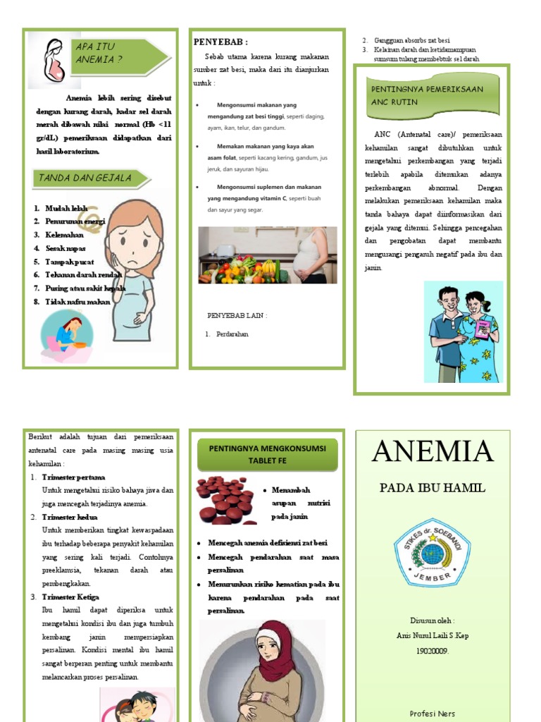 Leaflet Anemia Pada Ibu Hamil | PDF
