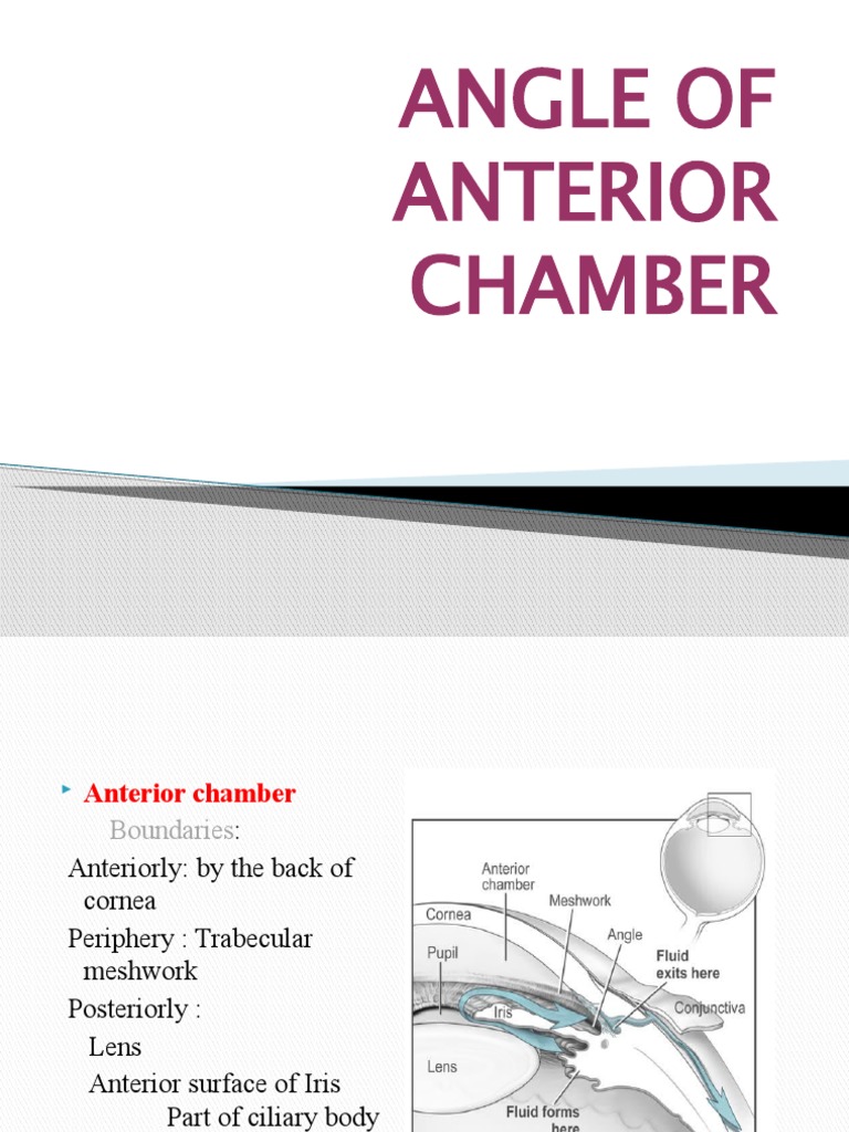 Angle of Anterior Chamber | PDF | Ophthalmology | Human Eye