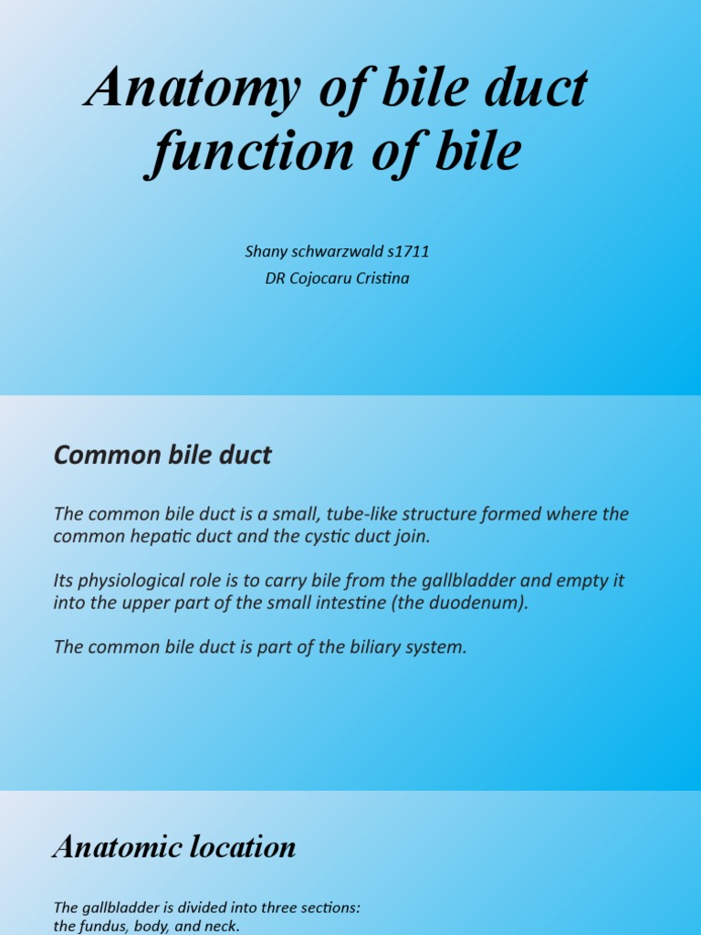 Anatomy of Bile Duct Function of Bile: Shany Schwarzwald s1711 DR ...