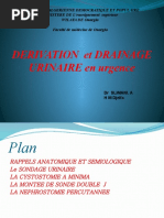Cystostomie à minima : Technique et soins | PDF | Vessie | Appareil ...