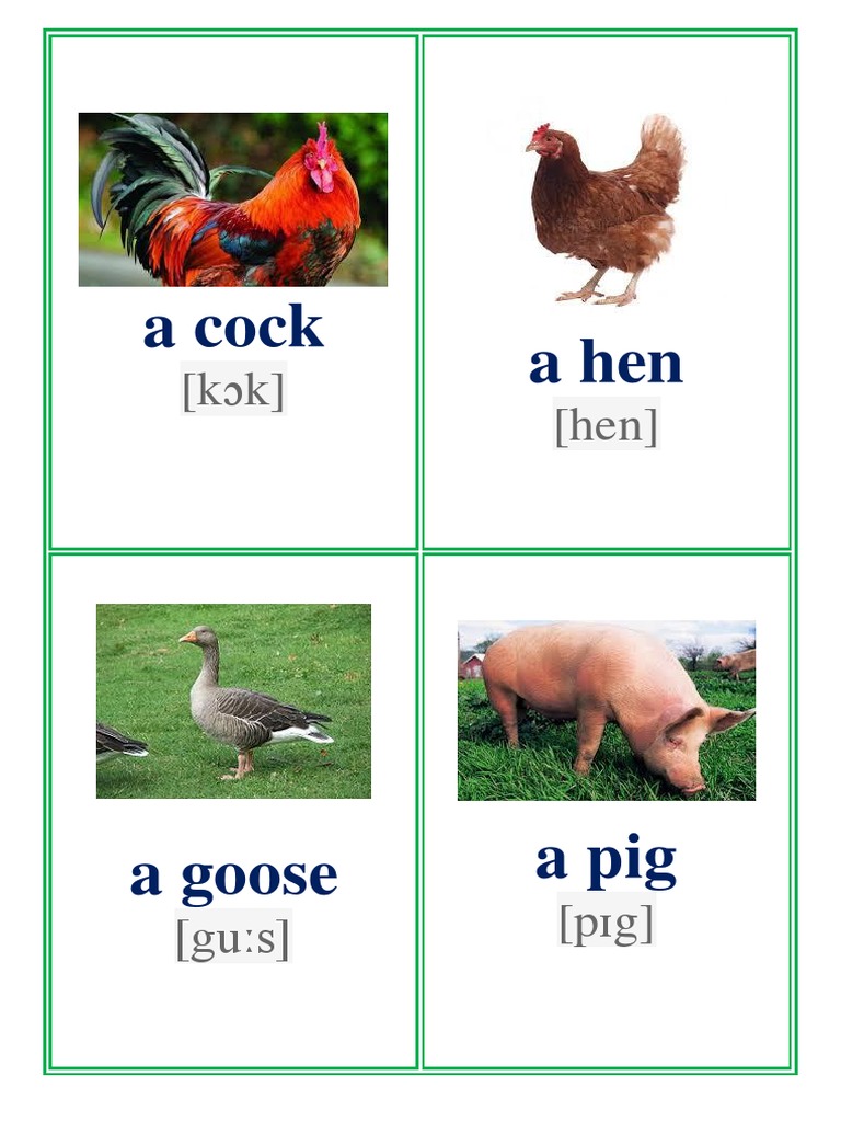 Farm Animal Vocabulary List | PDF