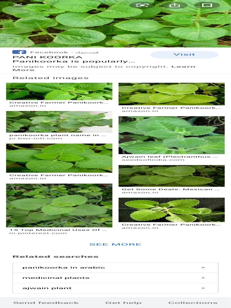 Panikoorka - Google Search | PDF | Science & Mathematics