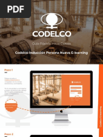 EVA FINAL - Codelco - Elearning | PDF | Riesgo