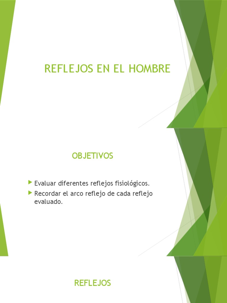 Tipos de Reflejos en el Hombre | PDF
