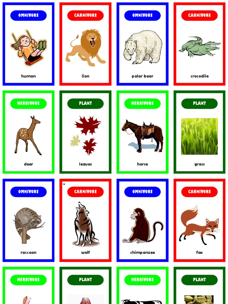 Food Chain War Cards | PDF