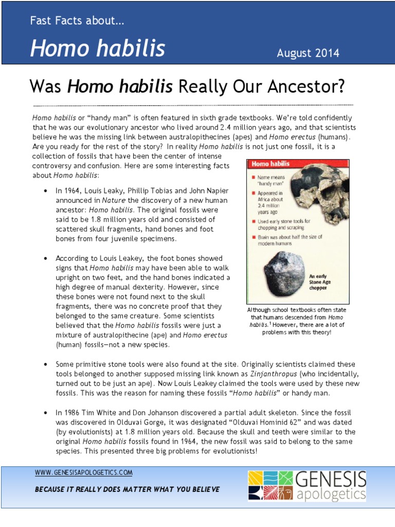 Was Homo Habilis Really Our Ancestor? | PDF | Lucy (Australopithecus ...