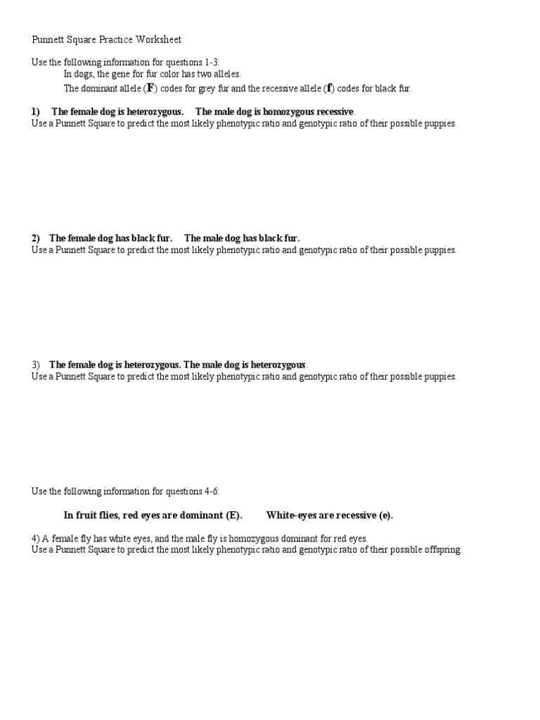 Punnett Square Practice Application Phenotypic and Genotypic Ratio ...
