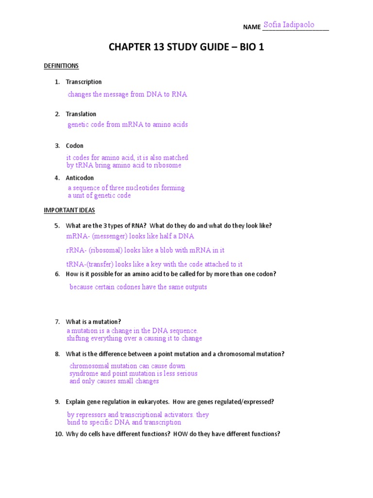 Chapter 13 Study Guide - Bio 1: Sofia Iadipaolo | PDF | Rna ...