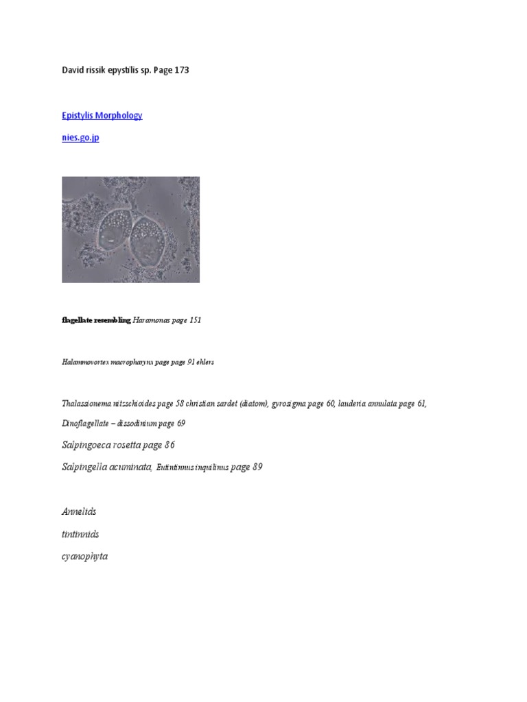 Epistylis Morphology Nies - Go.jp: David Rissik Epystilis Sp. Page 173 ...