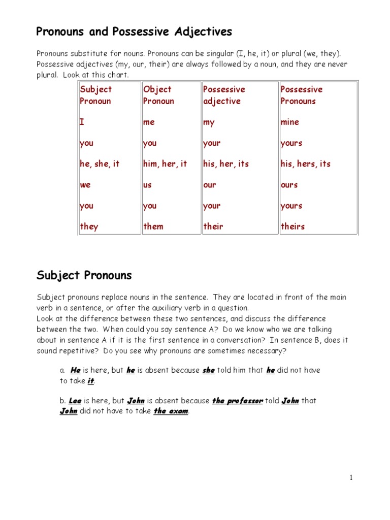 Pronouns and Possessive Adjectives | PDF | Pronoun | Grammatical Number