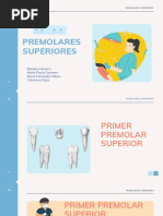 Primer Premolar Inferior | PDF | Anatomia dental