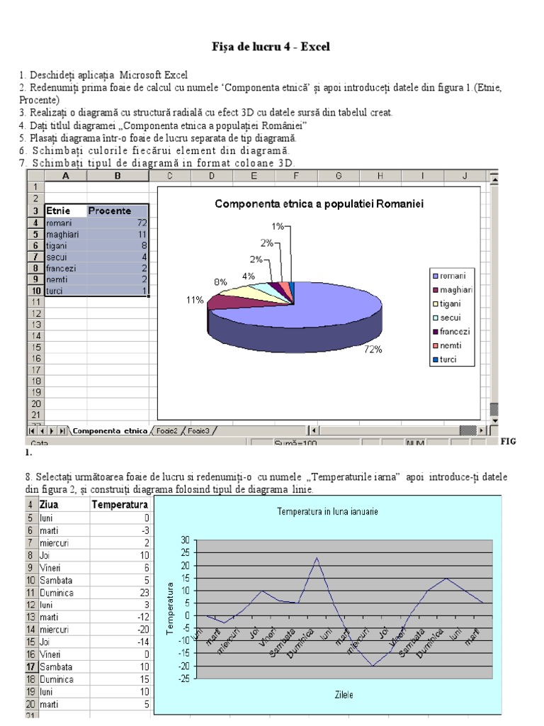 Fisa de Lucru 4 - Excel | PDF