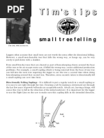 Bridge Grafting and Inarching Damaged Fruit Trees | PDF | Grafting | Trees