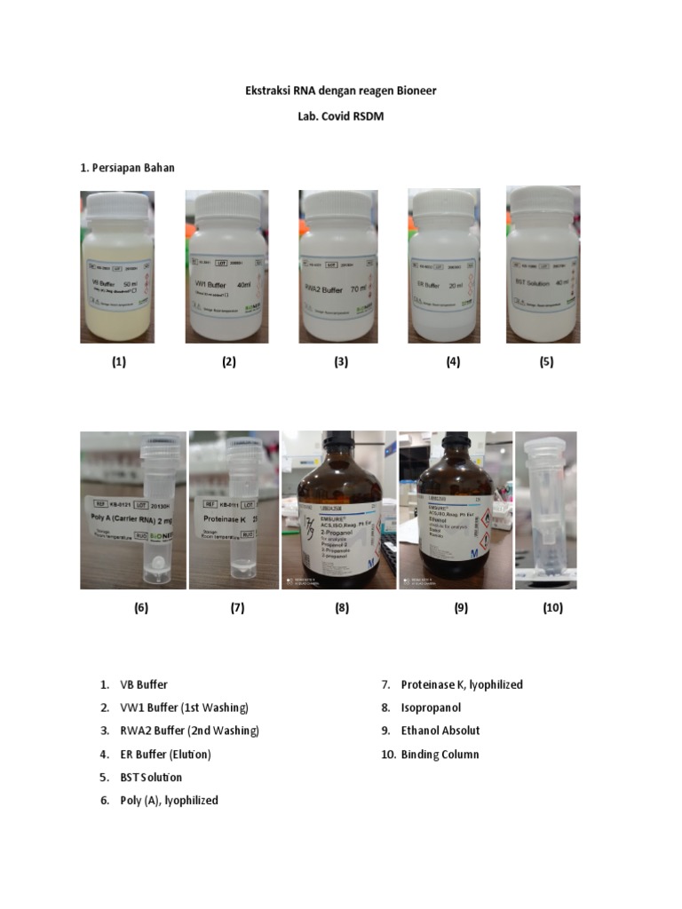 Ekstraksi RNA Dengan Reagen Bioneer Lab. Covid RSDM: 1. Persiapan Bahan ...