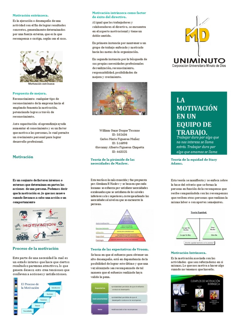 Motivación Intrínseca y Extrínseca | PDF | Motivación | Motivacional