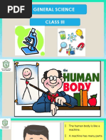 Class-1 Science PPT - Our Sense Organs | PDF | Taste | Senses