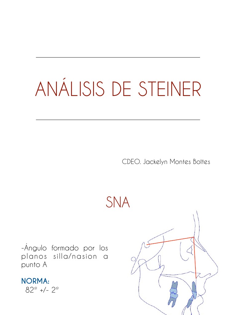Steiner | PDF