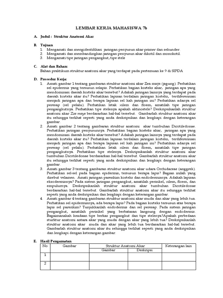 LKM 7b Anatomi Akar (Praktikum) | PDF | Ilmu Sosial | Kajian Bahasa Asing