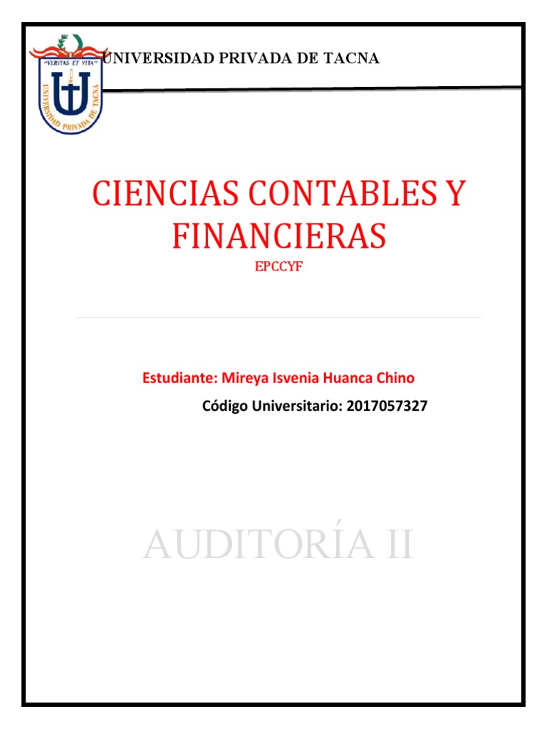 Cedula Sumaria de Ingresos y Gastos | PDF | Auditoría | Economias