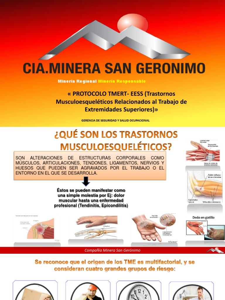Protocolo Temert Eess | PDF | Seguridad y salud ocupacional | Especialidades Medicas