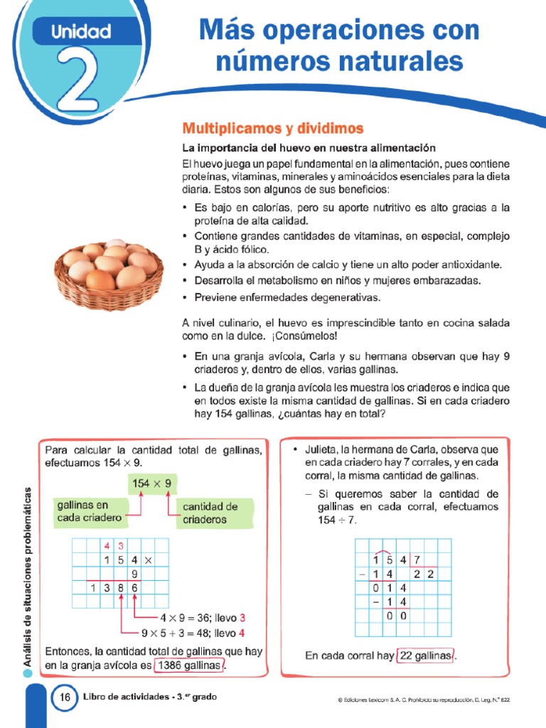 Primaria 2da Unidad Repaso | PDF | Huevo como alimento | Avicultura